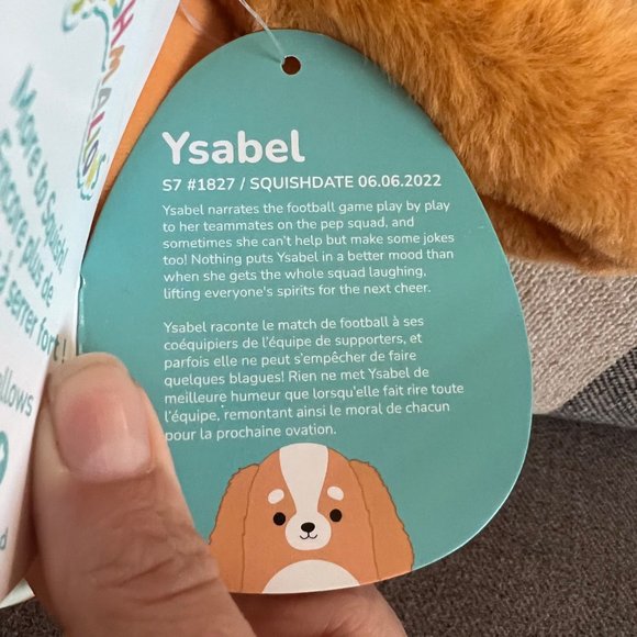 Squishmallows | Toys | Nwt Ysabel The Dog First To Market Squishmallows ...